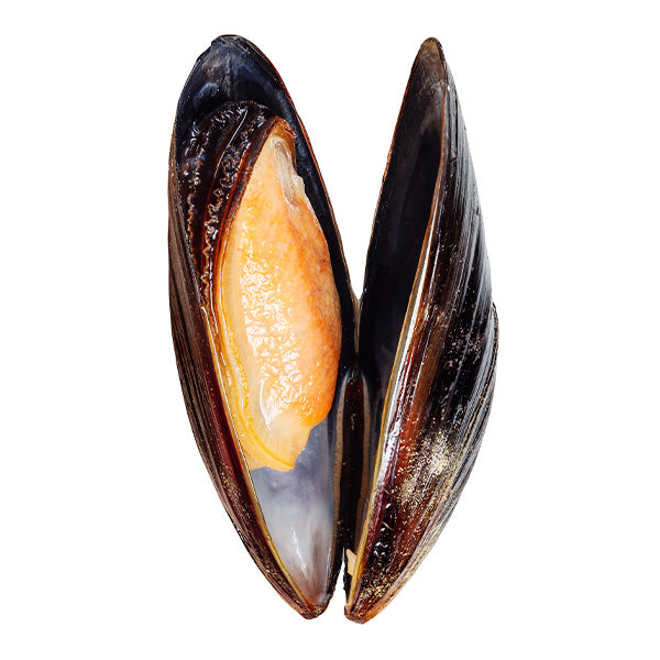 Piatto Cozze crude – Pescheria 3.0